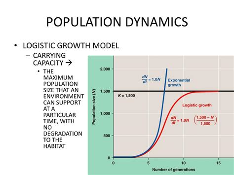 Ppt Population Dynamics Powerpoint Presentation Free Download Id
