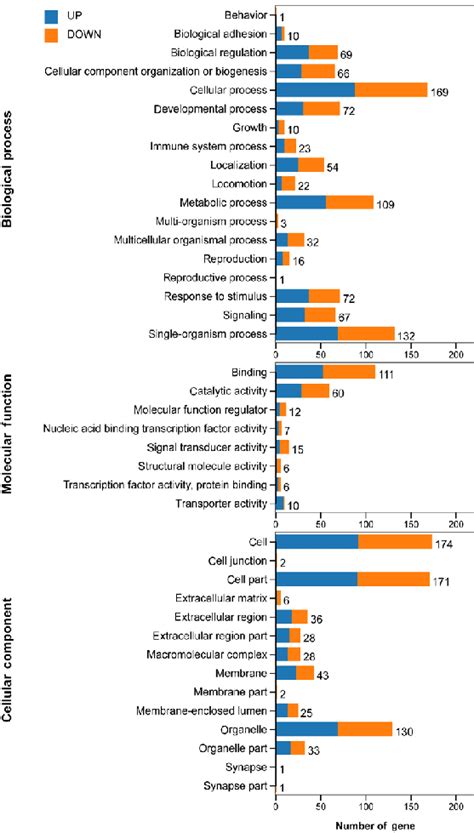 Enriched Gene Ontology Go Biological Process Molecular Function And