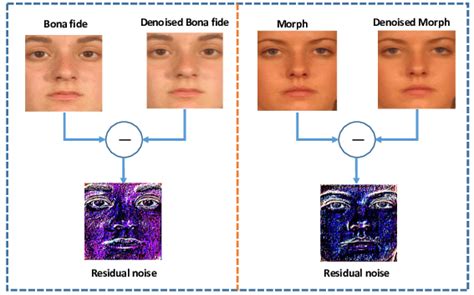 Illustration Of Residual Noise Computation Using Deep Ms Can Download Scientific Diagram