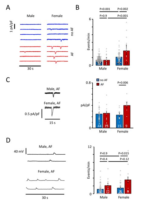 Effect Of Sex On The ITI Frequency And Spontaneous Membrane Download Scientific Diagram