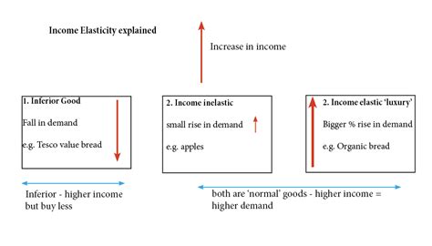 Understanding Elasticity Economics Help