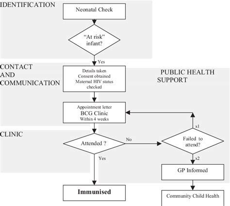 BCG Policy Flow Chart Download Scientific Diagram