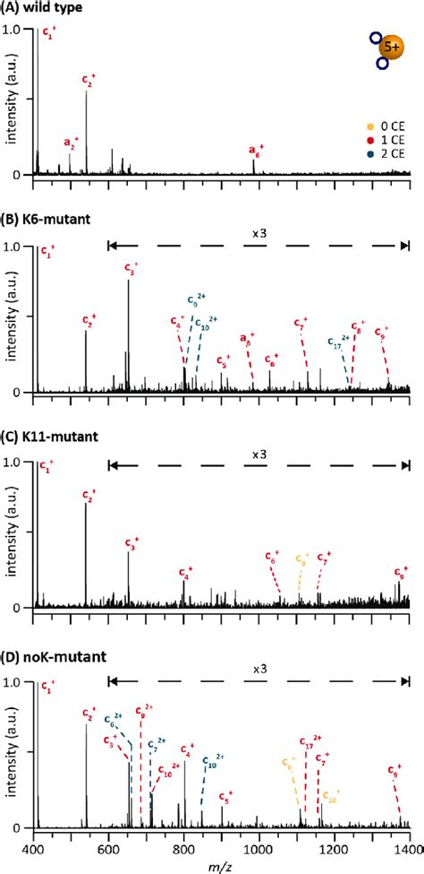 Etd Fragmentation Spectra Of The 5 Complex With Two Crown Ethers