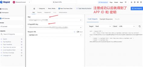 如何获取谷歌新闻 Api Key 密钥（分步指南） 幂简集成