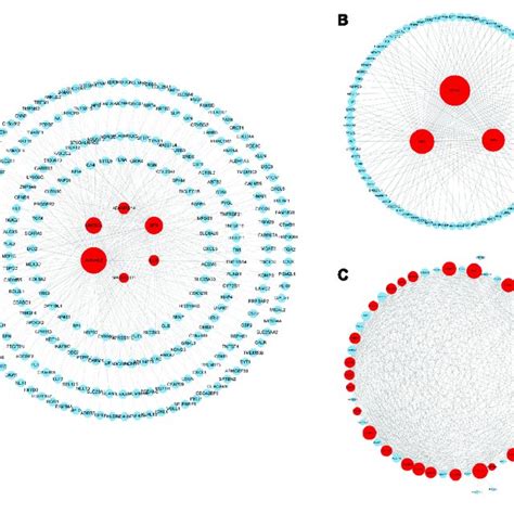 Construction Of Hub Gene Centric Interaction Networks A An