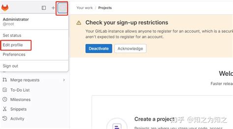 如何在GitLab配置中文 知乎