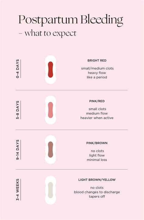 Postpartum Bleeding Recovery Artofit