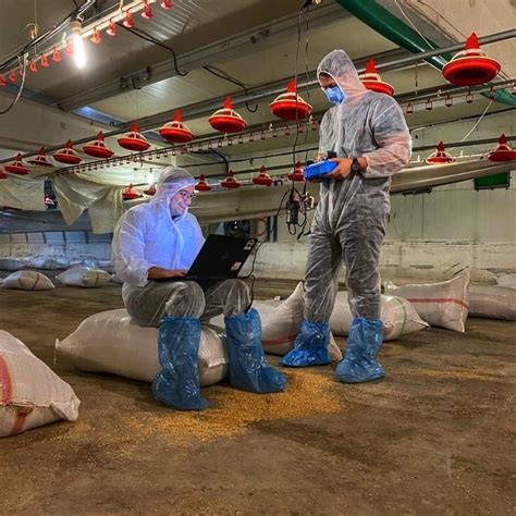 Data Poultry Iot Project Veri Tavukçuluk Production Research