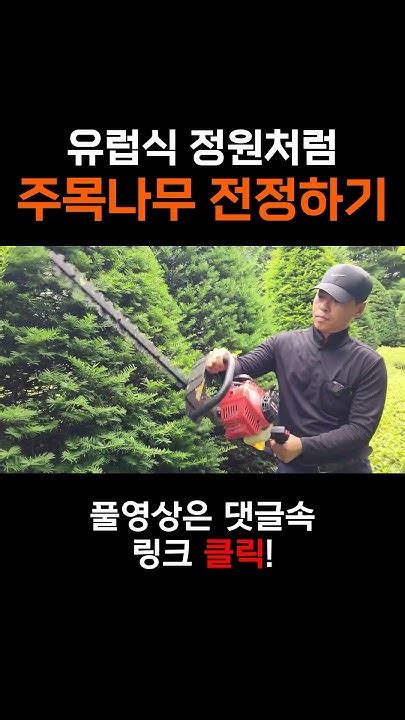유럽식 정원처럼 주목나무전정 Youtube