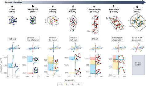 Light Matter Magic Explained Broken Symmetry Drives Polaritons