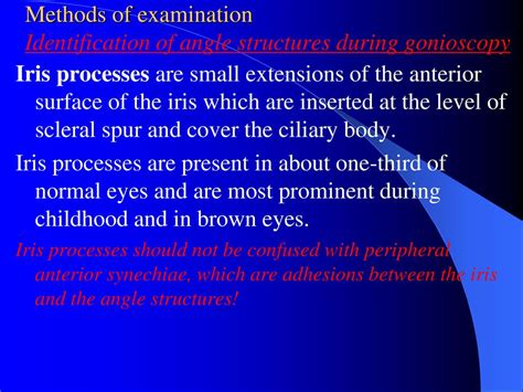 Gonioscopy Iris Processes