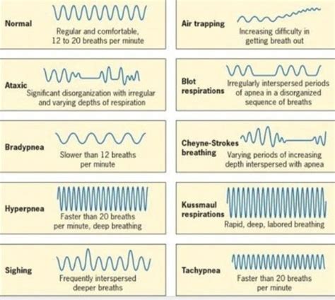 Pneumologie Krankenpflege Medizin