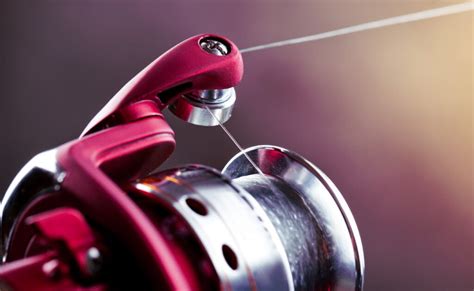 Different Types Of Fishing Line Explained