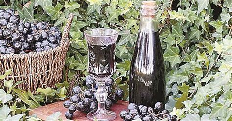 Как да си направите гроздов сок и концентрат Български Фермер