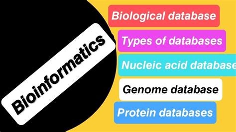 Bioinformatics Biological Databases Nucleic Acid Database Genome Database Protein