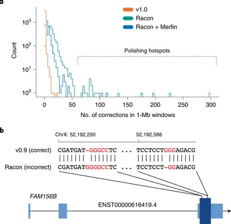 errors made by automated polishing a the distribution of the number of