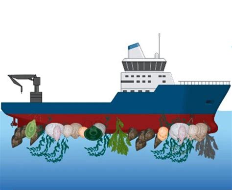 Biofouling Management Plan Bfmp