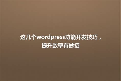 这几个wordpress功能开发技巧，提升效率有妙招 Wordpress Ai自动写文章插件 极光ai Post