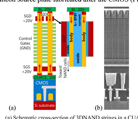Figure 2 From 3dnand Gidl Assisted Body Biasing For Erase Enabling Cmos Under Array Cua
