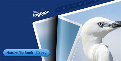 Css Jquery