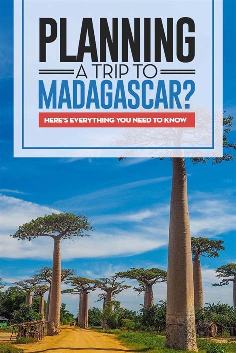 Madagascar Travel Guide Everything You Need To Know Before You Visit