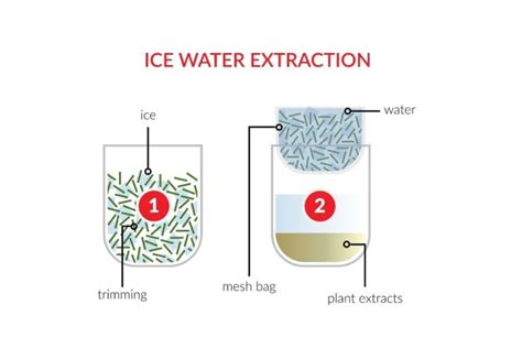 Cbd Extraction Methods A Complete Guide Purity Hemp