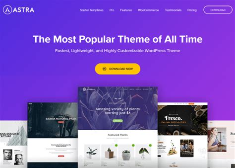 Astra Pro Addon Gpl Wp Theme V 4119 Gpl Theme Plugin