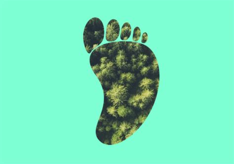 Calculating Your Carbon Footprint Openlearn Open University