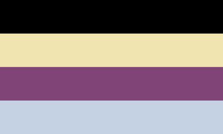 Cassgirl Embracing Female Identity Cassgender Flag Colors