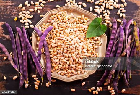 말린 콩 질감입니다 음식 배경 닫기 콩 배경과 질감 콩의 배경입니다 0명에 대한 스톡 사진 및 기타 이미지 0명 갈색 강낭콩 Istock