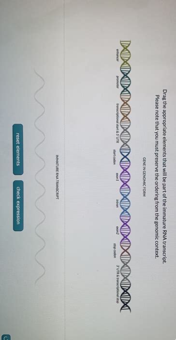 Drag The Appropriate Elements That Will Be Part Of