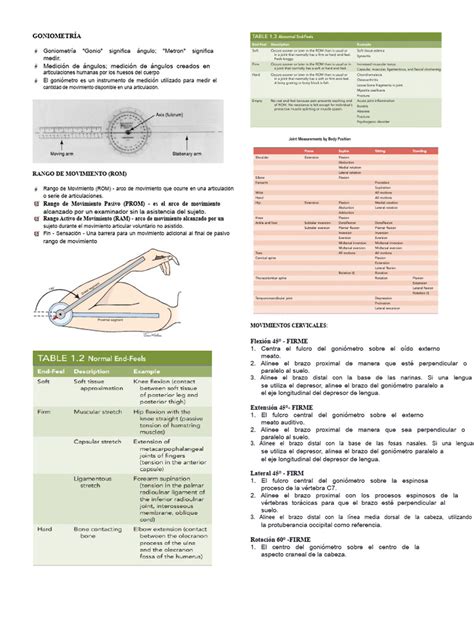 GoniometrÍa Pdf Tobillo Codo