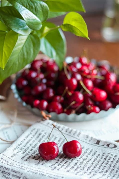 Flavorful 건강한 건강한 식생활 계절 과일 과일 디스플레이 과즙이 많은 녹지 농작물 다이어트 달콤한 디저트 러스틱 레시피 맛있는 보울 비