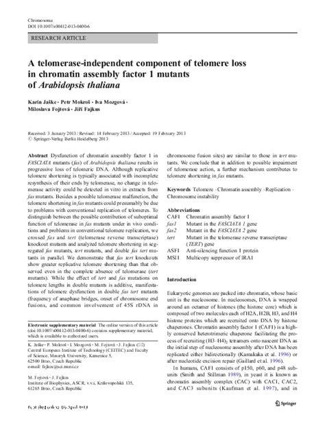 Pdf A Telomerase Independent Component Of Telomere Loss In Chromatin Assembly Factor 1 Mutants