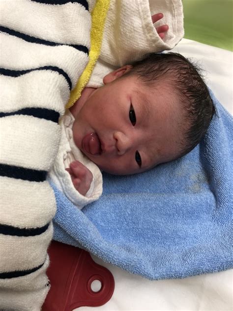 女の子が誕生 shop ikedaya jp