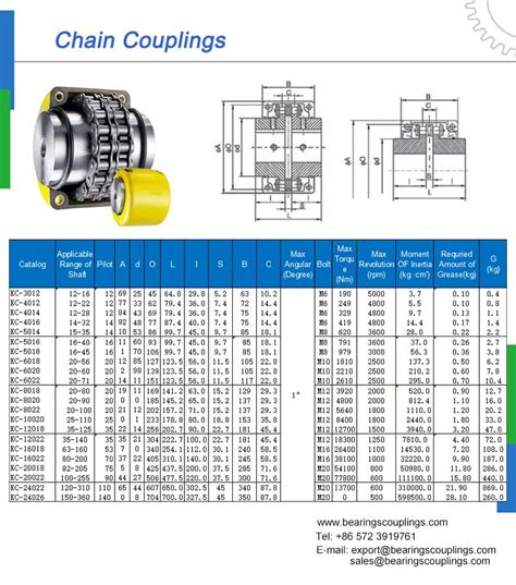 Chain Couplings China Power Transmission Manufacturer