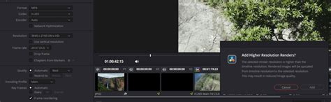 Render Resolution Higher Than Timeline Rdavinciresolve