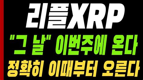 리플 전망 그 날 이번주에 온다 정확히 이때부터 오릅니다 Youtube