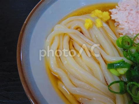 さぬきうどんの鶏マヨぶっかけうどんの冷や No 22102031｜写真素材なら「写真ac」無料（フリー）ダウンロードok