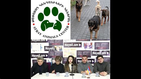 ԱՀԱԶԱՆԳ․ Քաղաքապետարանին կից ՀՈԱԿ ը զբաղված է շների սպանդով ու խայտառակ տեղեկությունների