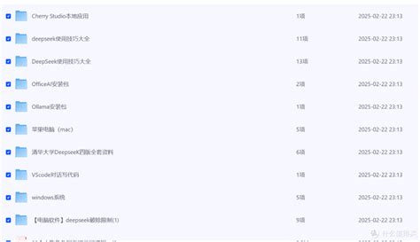 Deepseek从入门到精通：大语言模型技术及其应用指南科学技术什么值得买