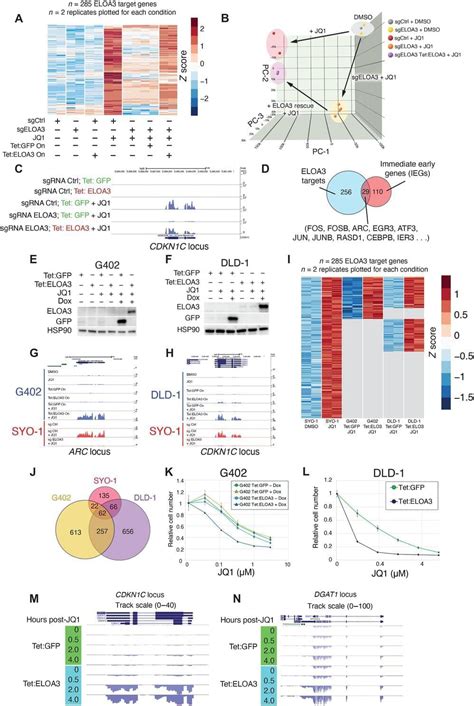 New Human Gene Cluster Sequence Discovered Lifeboat News The Blog