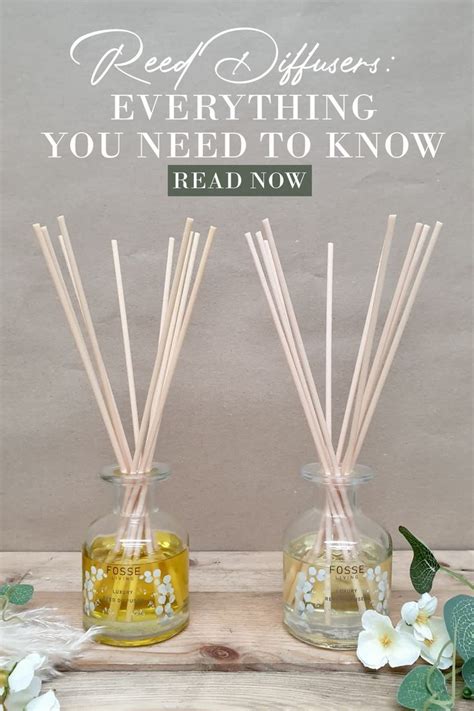 Reed Diffusers Everything You Need To Know In 2024 Reed Diffuser Oil