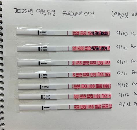 난임이야기 시험관 8차 동결 5차 배아이식 후 증상 1차 피검 네이버 블로그