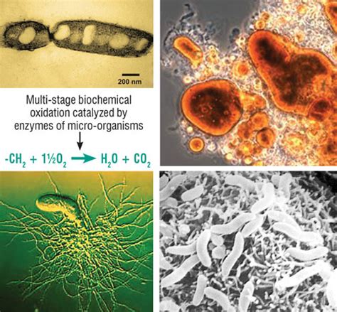 New Test Method For Lubricant Biodegradability