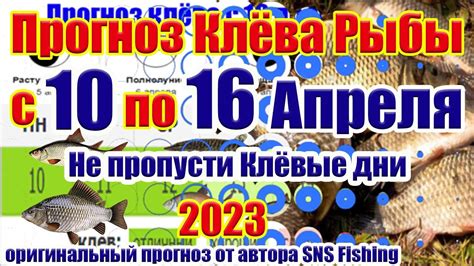 Прогноз клева рыбы на Эту неделю с 10 по 16 Апреля Календарь рыбака на Апрель Календарь клева