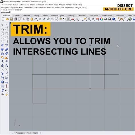 Rhino Commands Index Dissect Architecture