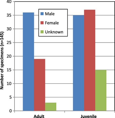 Age And Sex Distribution Of The Examined Skulls Download Scientific Diagram