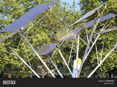 Tree Shaped Solar Image Photo Free Trial Bigstock