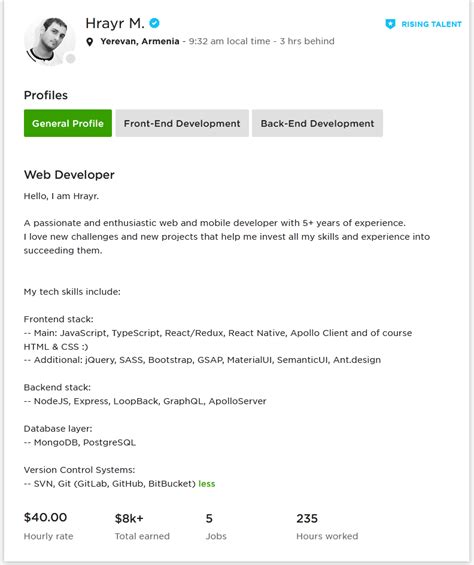 Web Developer Overview Sample For Upwork Profile